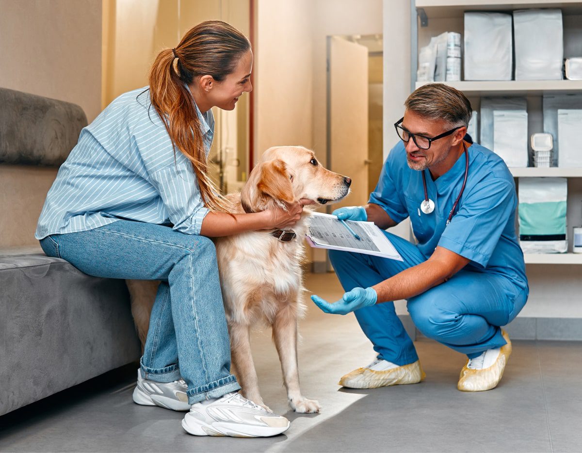 Book an Appointment - Quakertown Veterinary Clinic